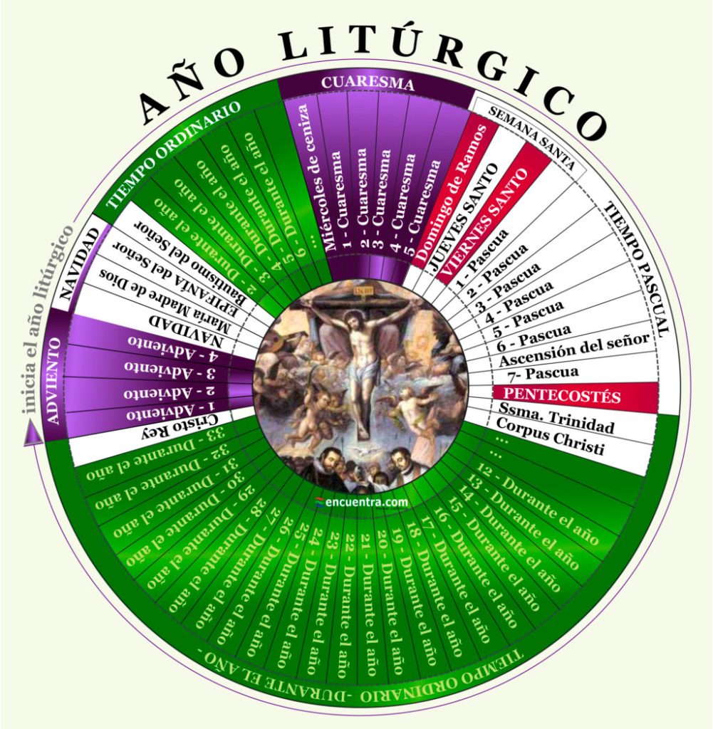 Descubre los Ciclos del Año Litúrgico Católico 🕊️